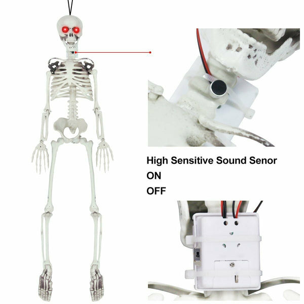 Posable Skeleton - Life Size Posable Skeleton – Joy General Store CA